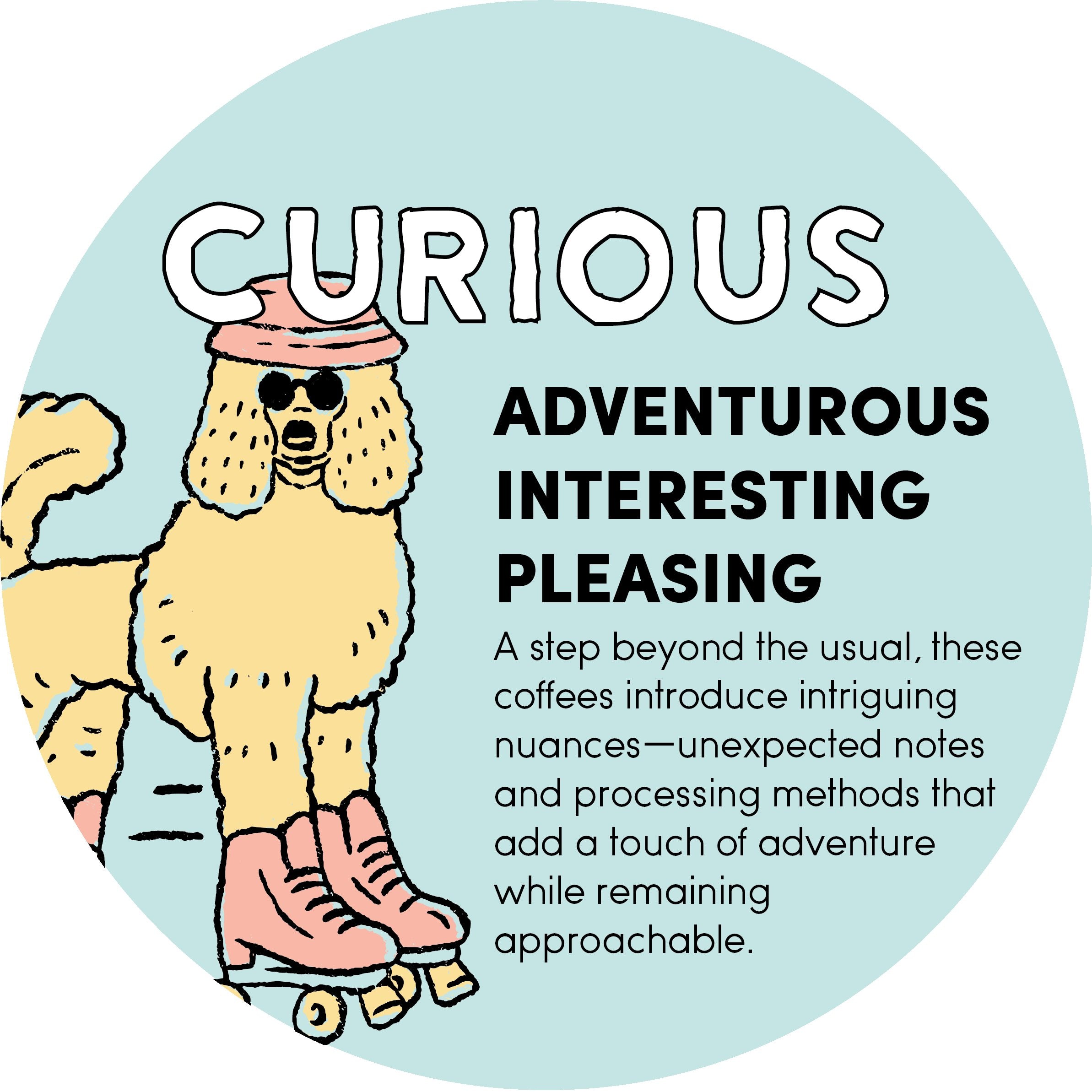 CURIOUS COFFEES – Back Road Coffee Roasters